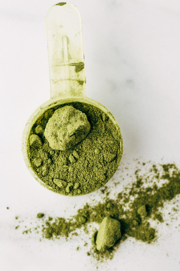 Wheat Grass Powder Juice Recipe And Benefits – Organic Way LLC