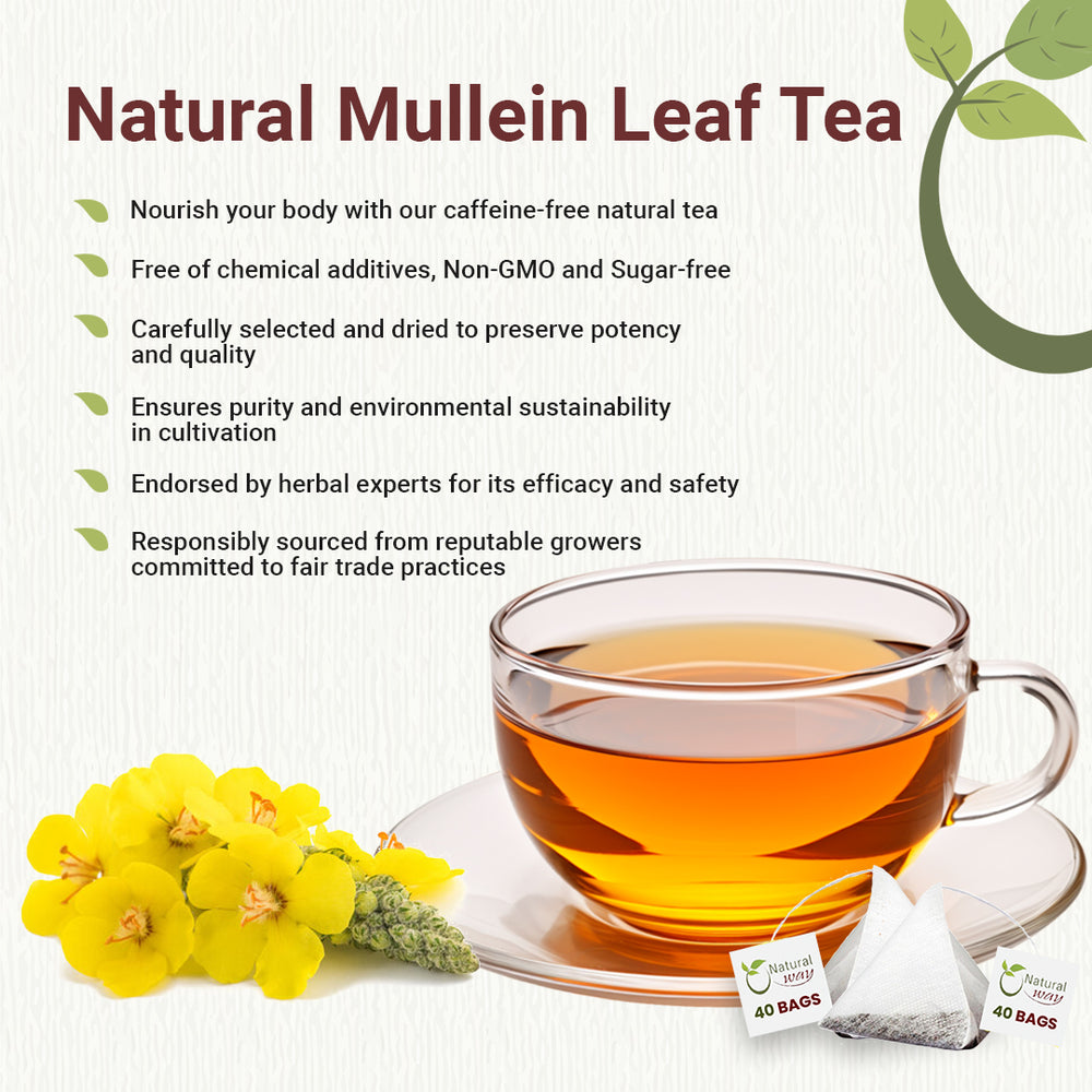 Betterbrand Better Lungs Detox Tea Organic Mullein Leaf Tea | 100 Count, (Plant-Based Pyramid ...