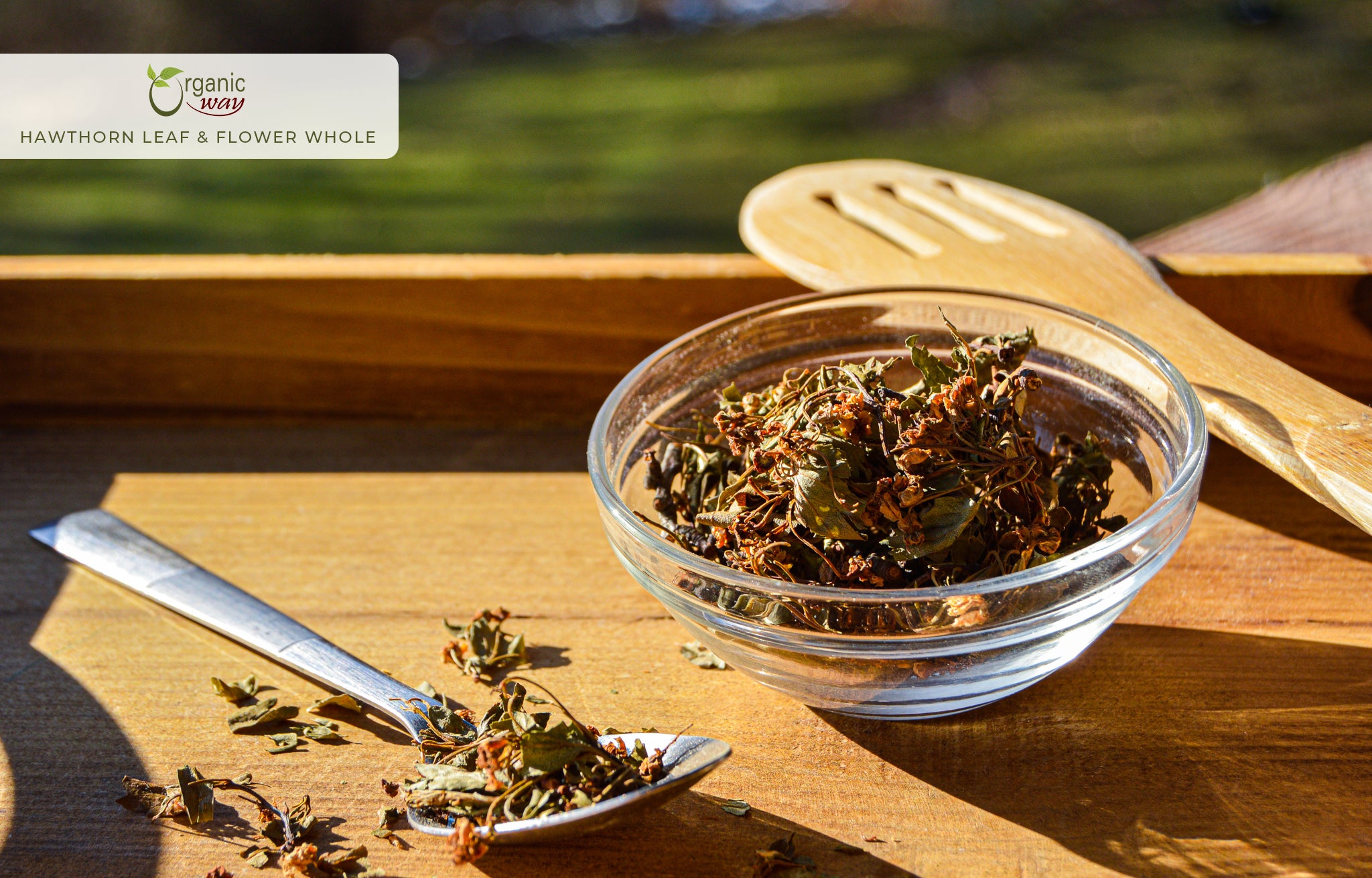 Hawthorn Leaf and Flower Whole (Crataegus monogyna) - Herbal Tea | Eur ...